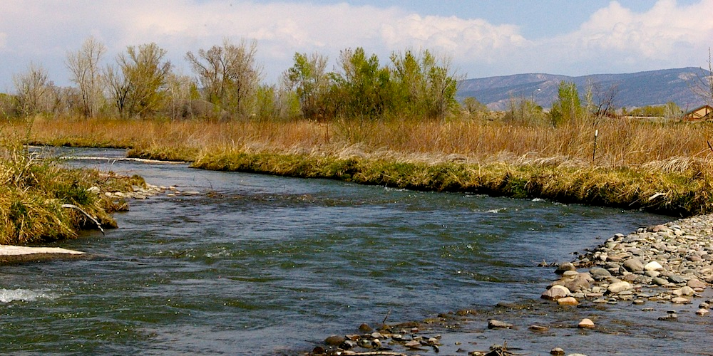 Friends of the River Uncompahgre